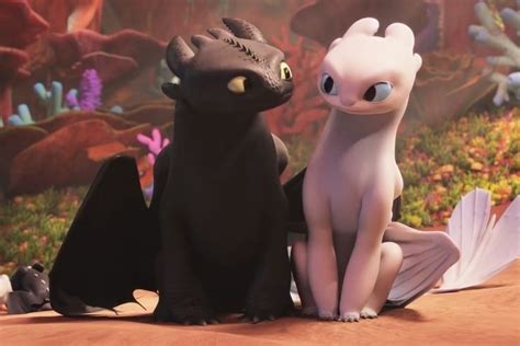 Chimuelo Y Furia Luminosa How Train Your Dragon How To Train Dragon