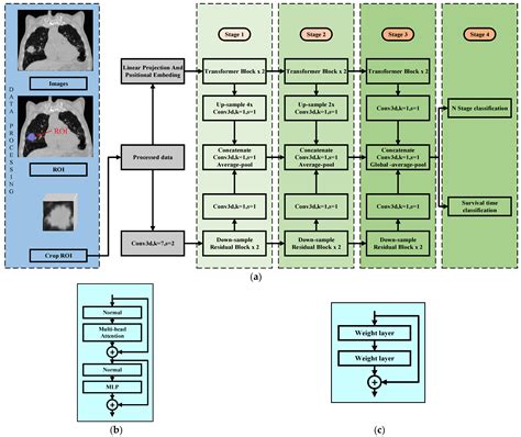 A Hybrid Cnn Transformer Model For Predicting N Staging And Survival In