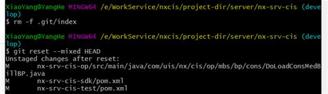 Git 错误 fatal index file corrupt Cool Yang 博客园
