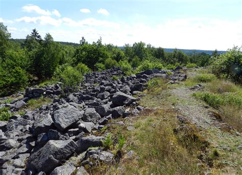 Skogsrud Broborg Fornborg