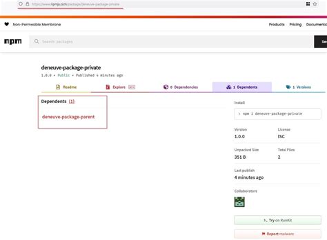 Exploring Extensions Of Dependency Confusion Attacks Via Npm Package