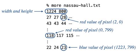 Programming Assignment 5 Input And Output