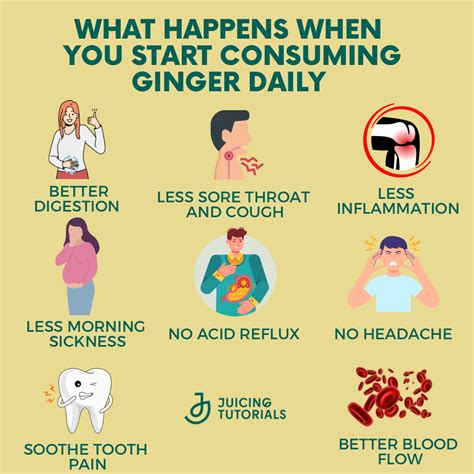 9 Side Effects Of Ginger You Must Know About Artofit