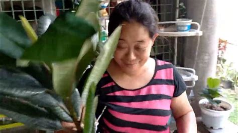 Unboxing Flower Ni Maam Ruby Ategievlog Plantitas Youtube