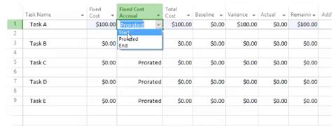 assigning cost accruals in microsoft project 2016 simon sez it