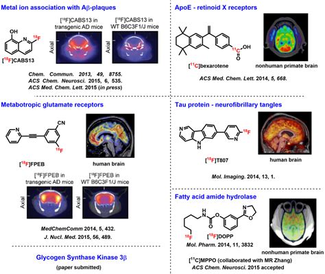 Research Emory Radioactive Drug Discovery Steven Liang
