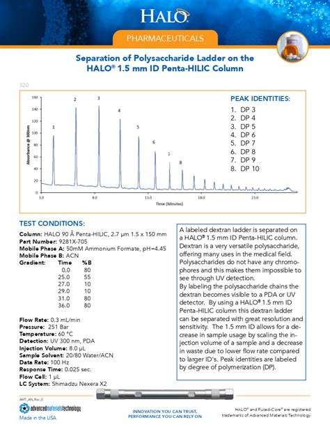Polysaccharide Ladder