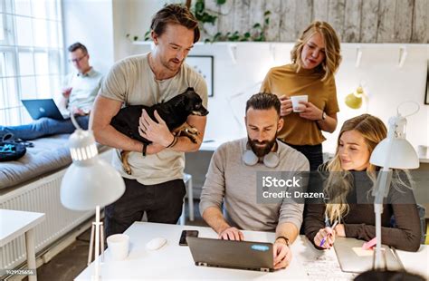 다양한 비즈니스 팀의 팀워크 사무실에서 동료와 함께 일하고 금융 투자에 대해 브레인 스토밍하는 개를 가진 직원 개에 대한 스톡 사진 및 기타 이미지 Istock