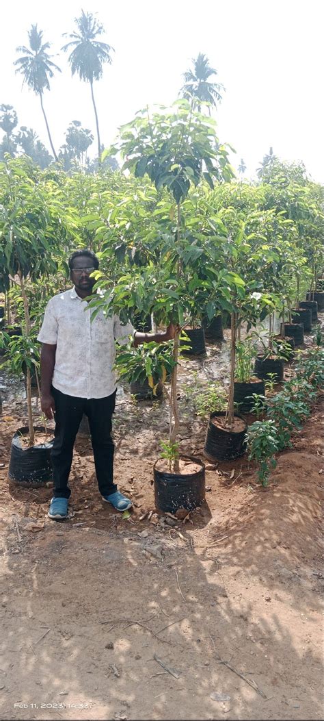 Gunturu Kishore Posted On Linkedin