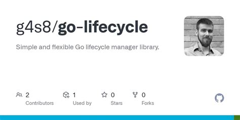 Simple And Flexible Go Lifecycle Manager Library Rgolang