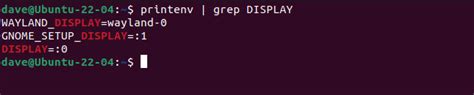 How To List Environment Variables On Linux