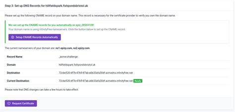 CNAME Record Not Showing On SSL Certificate Renewal Dashboard Hosting Support InfinityFree Forum