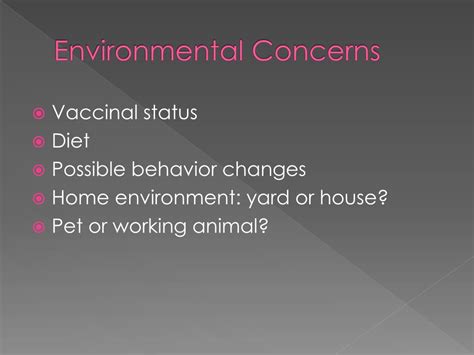 Ppt Preventative Veterinary Dentistry Powerpoint Presentation Free