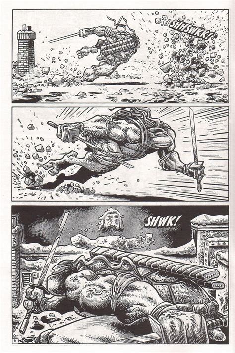 Leo Sparing With The Swords Rtmnt