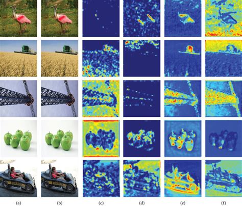 visualization results a original image b adversarial example c