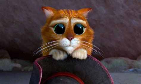 Gato Con Botas De Shrek Tiene Un Doble En La Vida Real Que Es Viral En Rede
