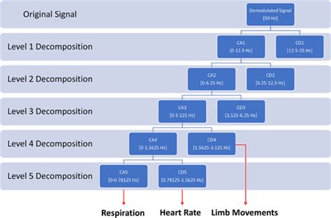 Multiresolution Analysis Signal Decomposition Using Dyadic Frequency