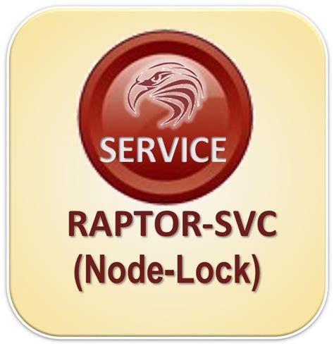 RAPTOR SERVICE SOFTWARE NODE LOCK New Eagle Store