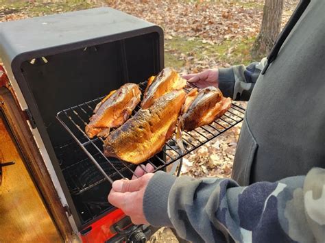 Preservation Of Tullibee And Traditions — Ojibwe Inaajimowin