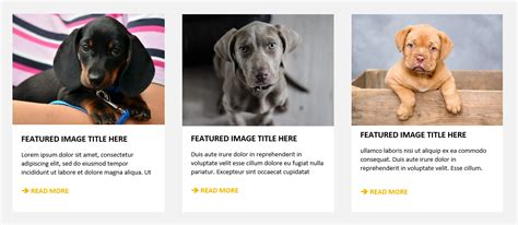 How To Add Featured Images Or Post Thumbnails In Wordpress Ezseonews