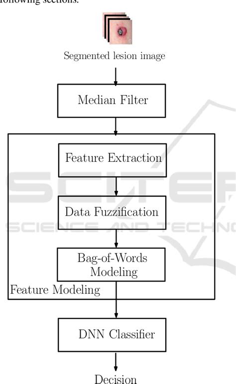 Figure 1 From Deep Neural Network For Fuzzy Automatic Melanoma Diagnosis Semantic Scholar