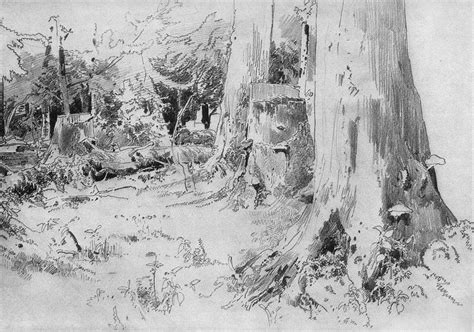 Landscape Drawings Tree Drawing Artwork