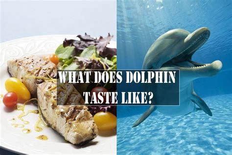 Cooked Dolphin Meat