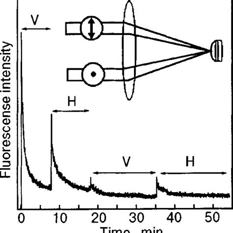 Birge Sponer Plot For Gas Phase I 2 Dashed Line And I 2 In Solid Ar