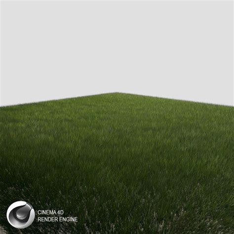 Dynamic Grass 3 3d Model Animated Cgtrader
