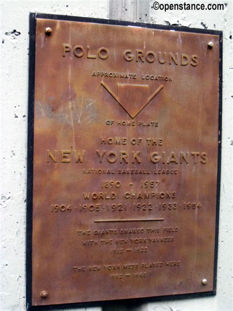 Polo Grounds New York Ny Ballpark Relics Open Stance