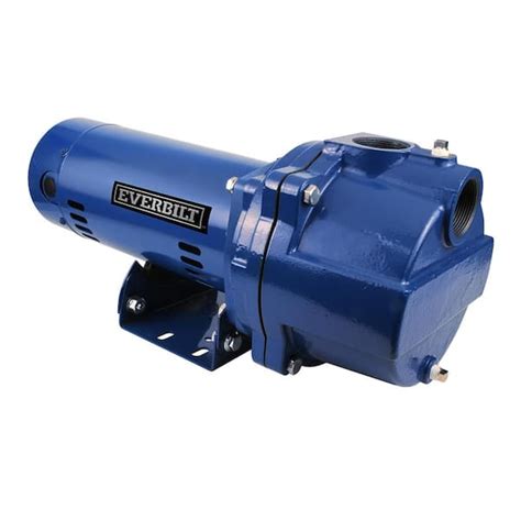 Everbilt 2 Hp Cast Iron Lawn Irrigation Pump Hdls20 The Home Depot