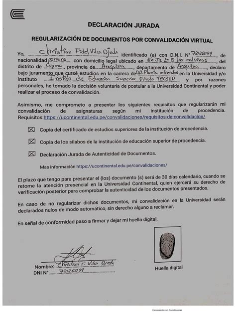 Declaracion Jurada De Regularizacion Documentos Pdf