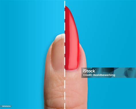매니큐어 치료 긴 아몬드 모양의 빨간 손톱 치료 분할 화면 스플릿 스크린에 대한 스톡 사진 및 기타 이미지 스플릿 스크린 개선 건조한 Istock
