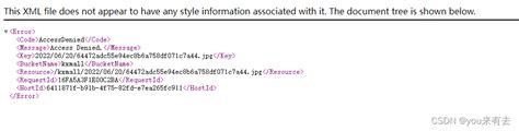 minio accessdenied csdn博客