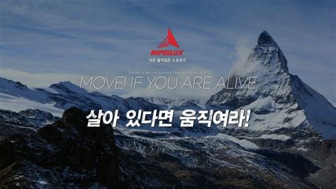 인펠룩스 inpellux 는 어떤 브랜드 일까요 네이버 블로그