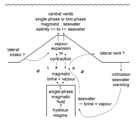 Schematic Concept Of Hydrothermal Fluid Processes That May Occur Inside Download Scientific