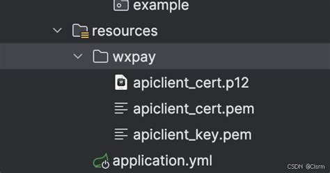 Springboot接入微信支付 Csdn博客
