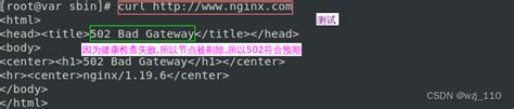 Nginx 健康检查 CharyGao 博客园