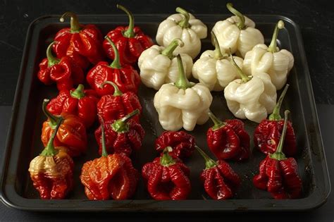 Premium Photo A Tray Of Assorted Hot Peppers For Added Heat