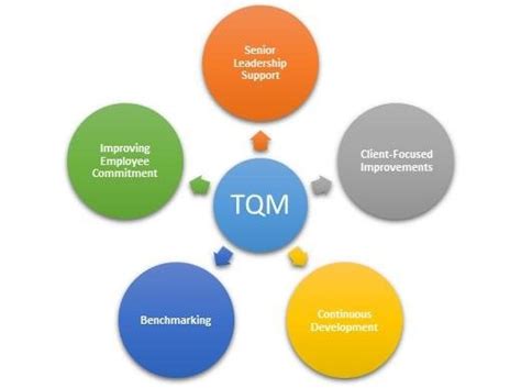 Key Principles Of TQM Download Scientific Diagram