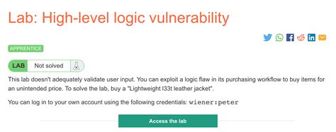 Portswiggers High Level Logic Vulnerability Walkthrough