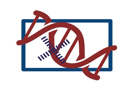 خدمات آزمایشگاهی بخش خدمات Ngs آزمایشگاه ژنیران