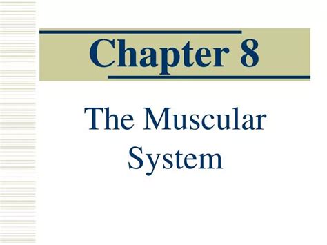 PPT Chapter PowerPoint Presentation Free Download ID