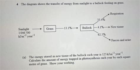 solved 4 the diagram shows the transfer of energy from