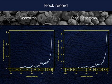 Comparing The Deep Sea Rock And Fossil Records Of Coccolithophores And Planktic Foraminifera Ppt