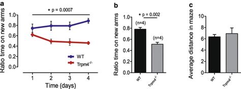 Hippocampus Dependent Performance In The Elevated T Maze A Wt Rats Download Scientific Diagram