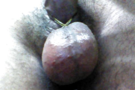 Cock And Balls Torture Using Rubber Bands Porn Pictures Xxx Photos Sex Images 1699688 Pictoa
