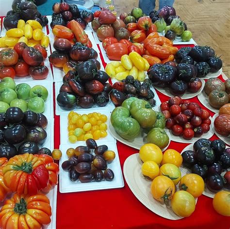 Мөнх ногоон тал ХХК Added A New Photo Мөнх ногоон тал ХХК