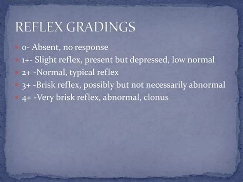 Muscle Tone And Deep Tendon Reflex Assessment Pptx