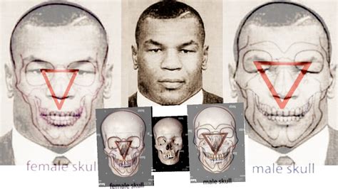 Shaun On Twitter They Work On A Dead Human Skull With Just The Skull